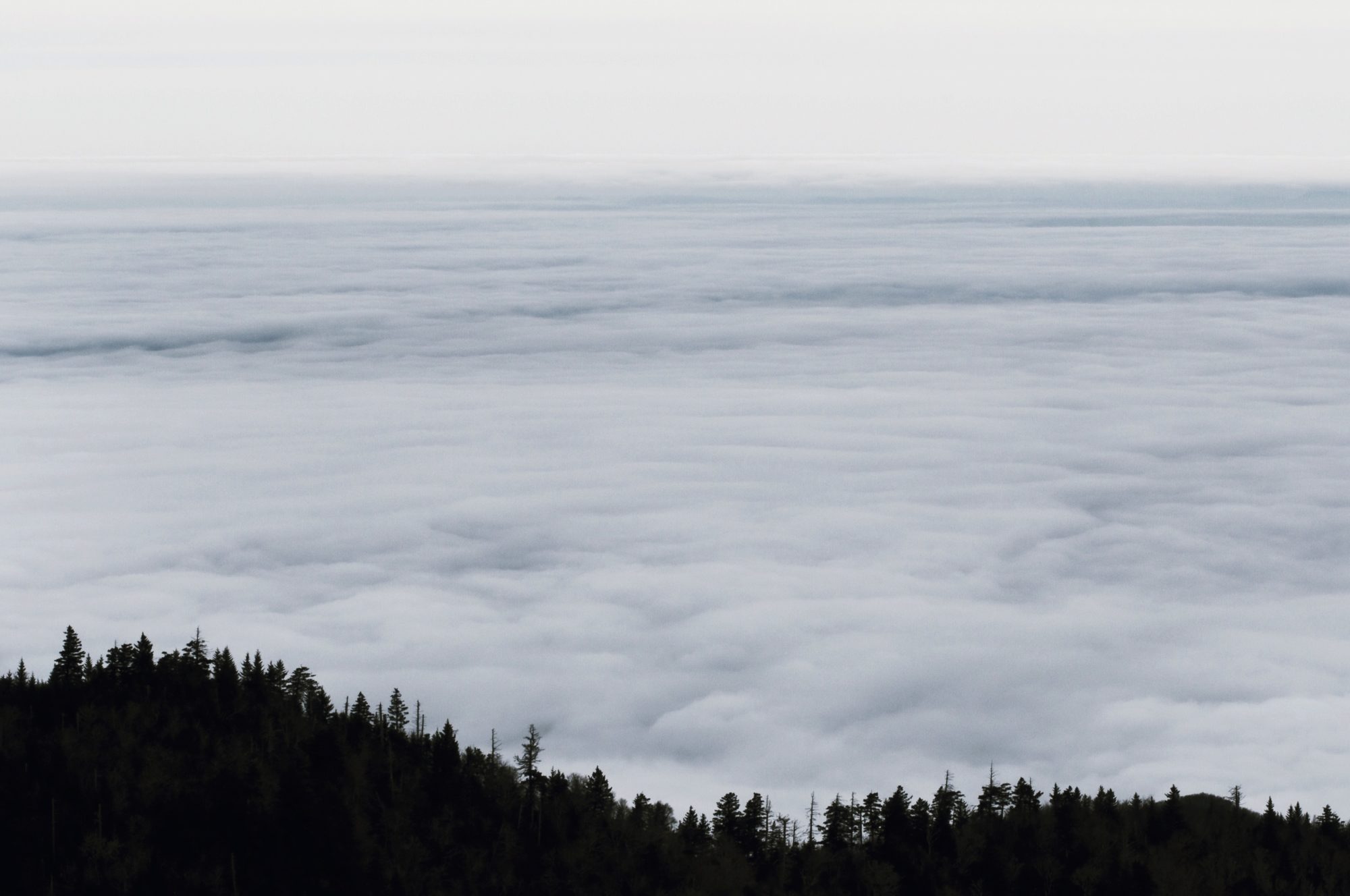 Cloud Inversion » Josh Branson