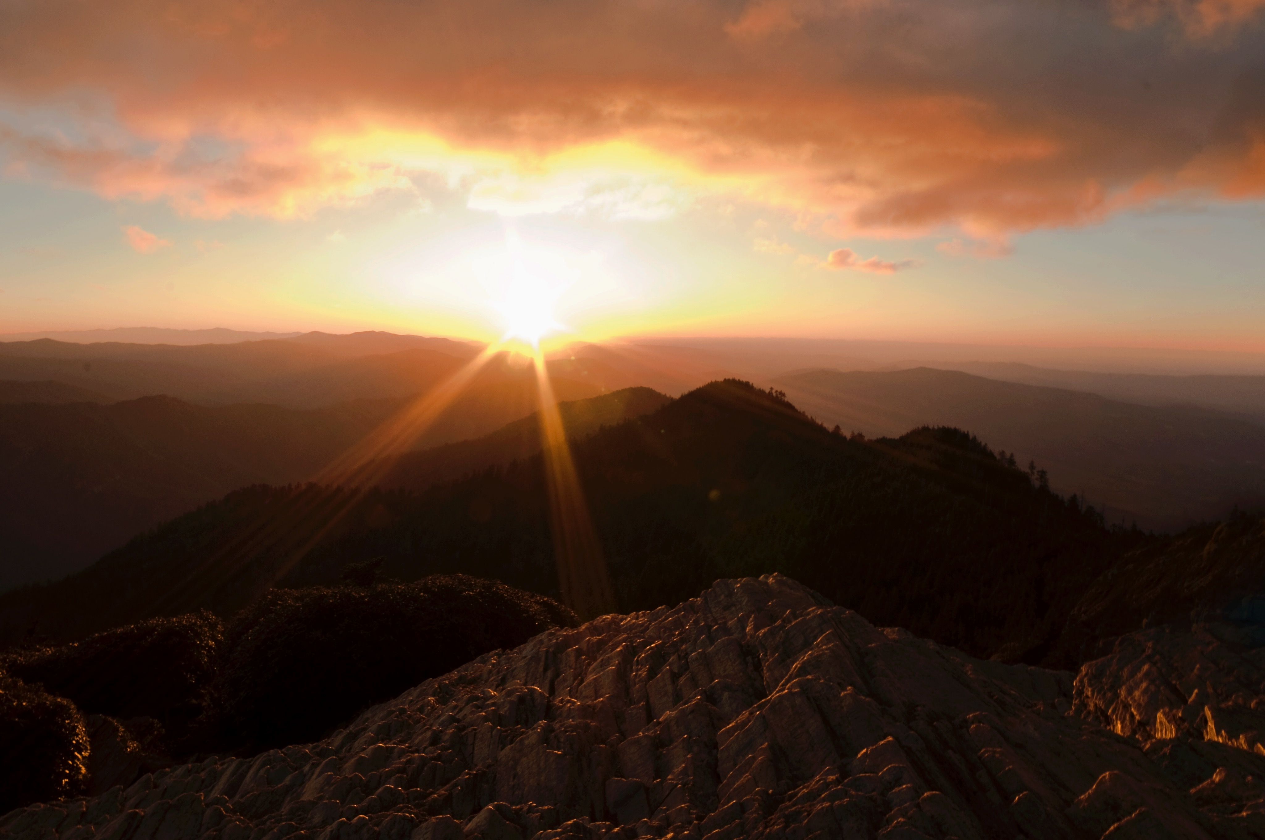 The Shaconage » Josh Branson