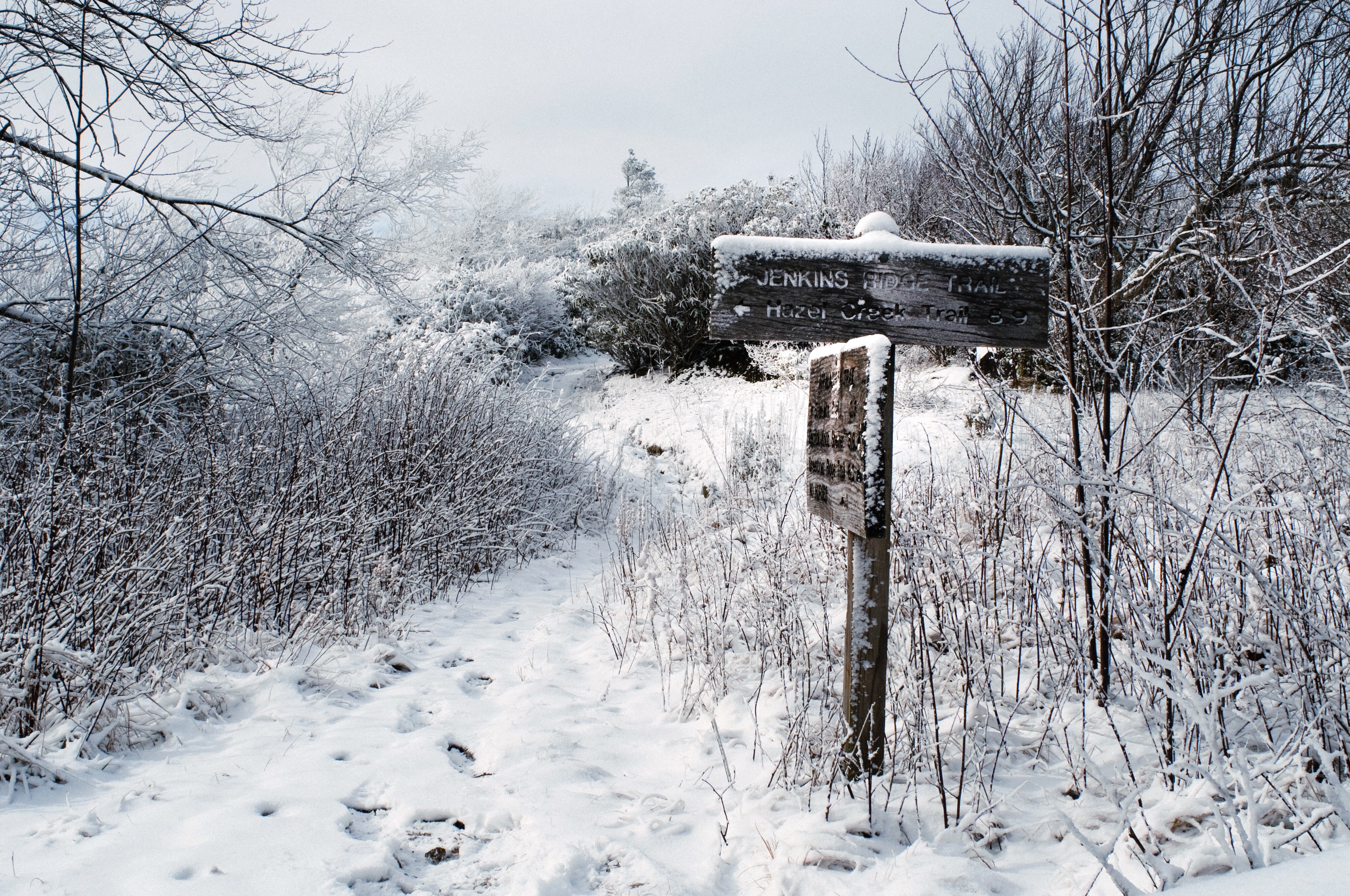 Jenkins Ridge » Josh Branson