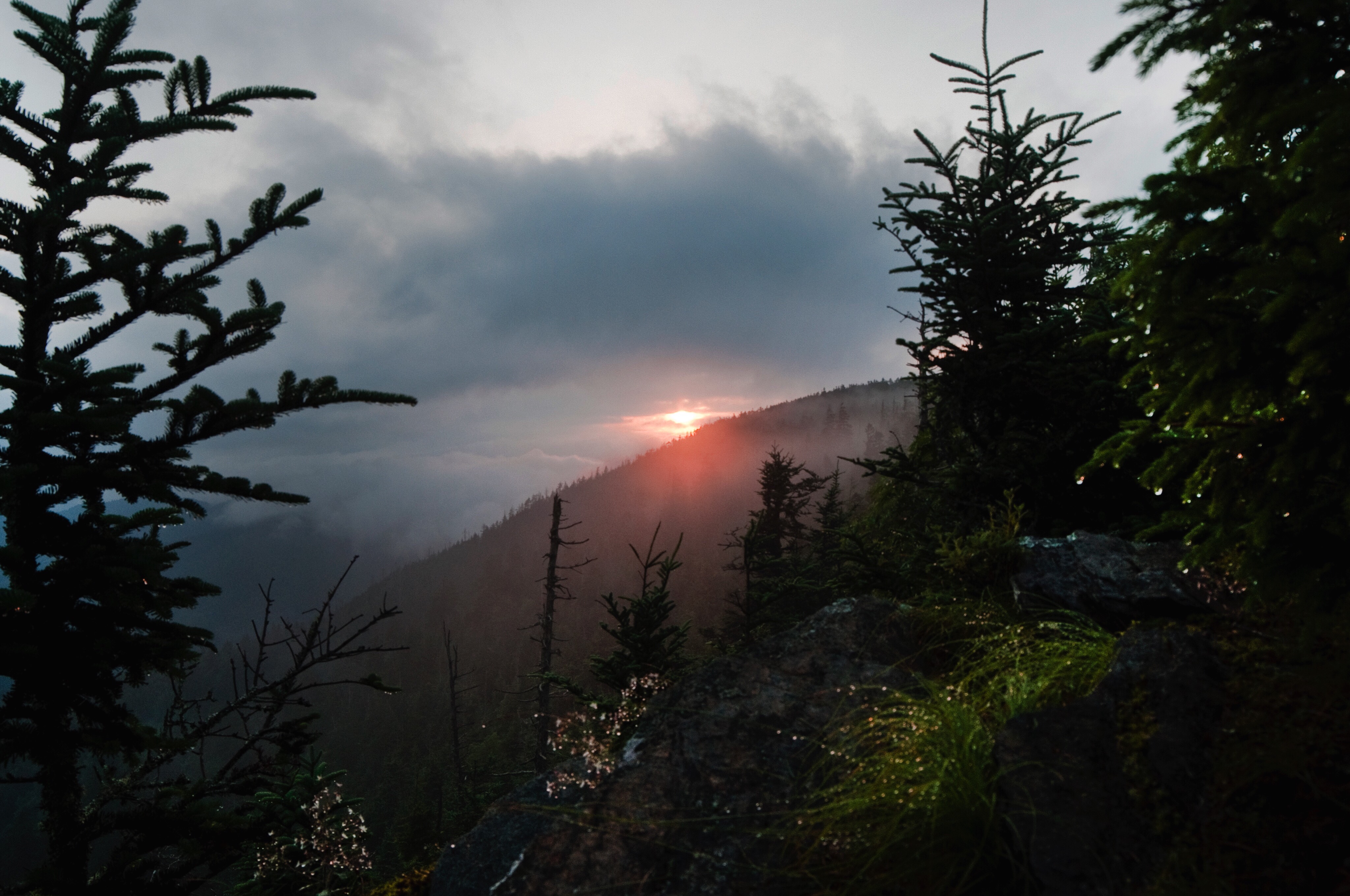 The Great Eye is Ever Watchful » Josh Branson