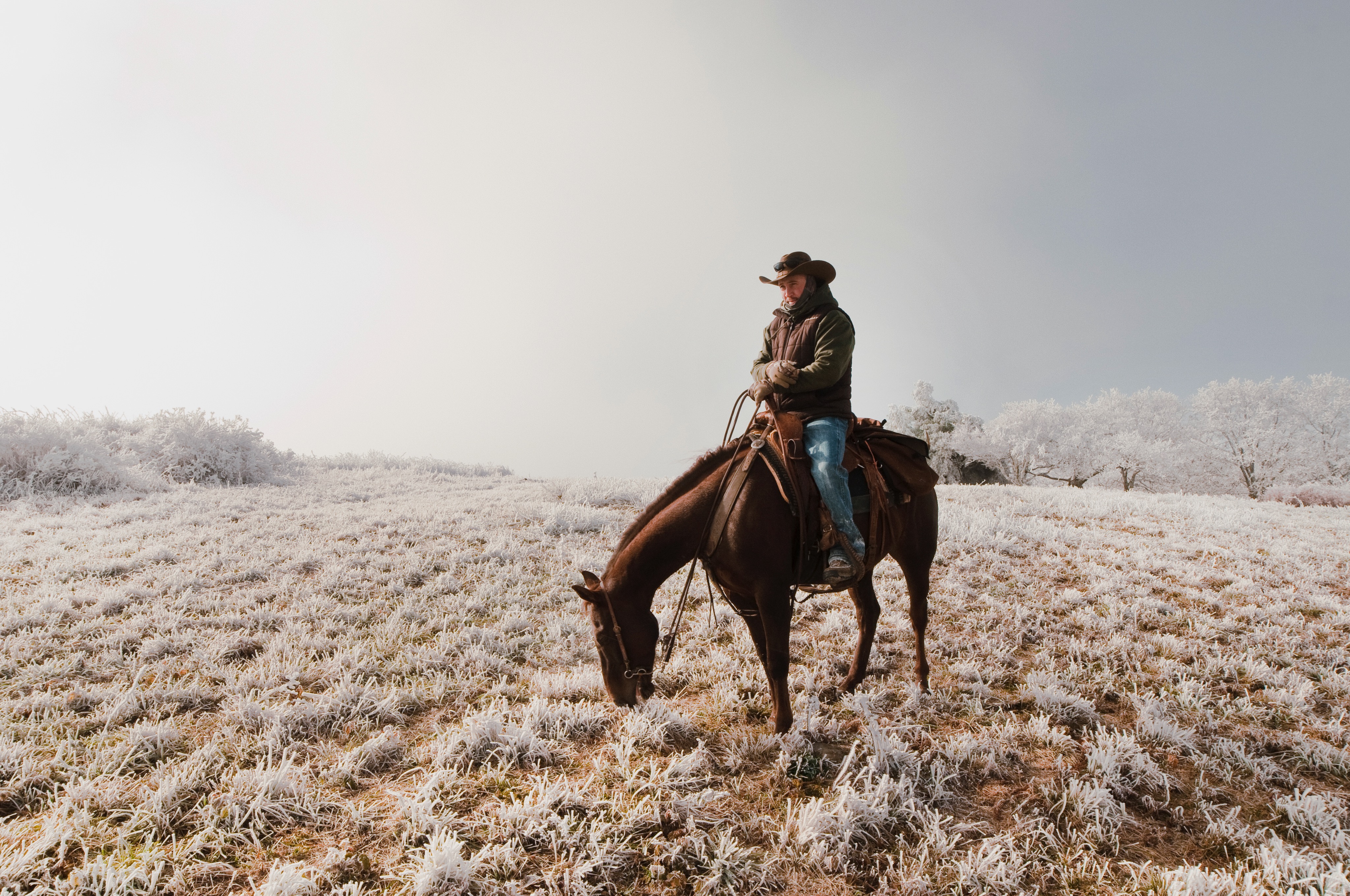 The Cowboy » Josh Branson